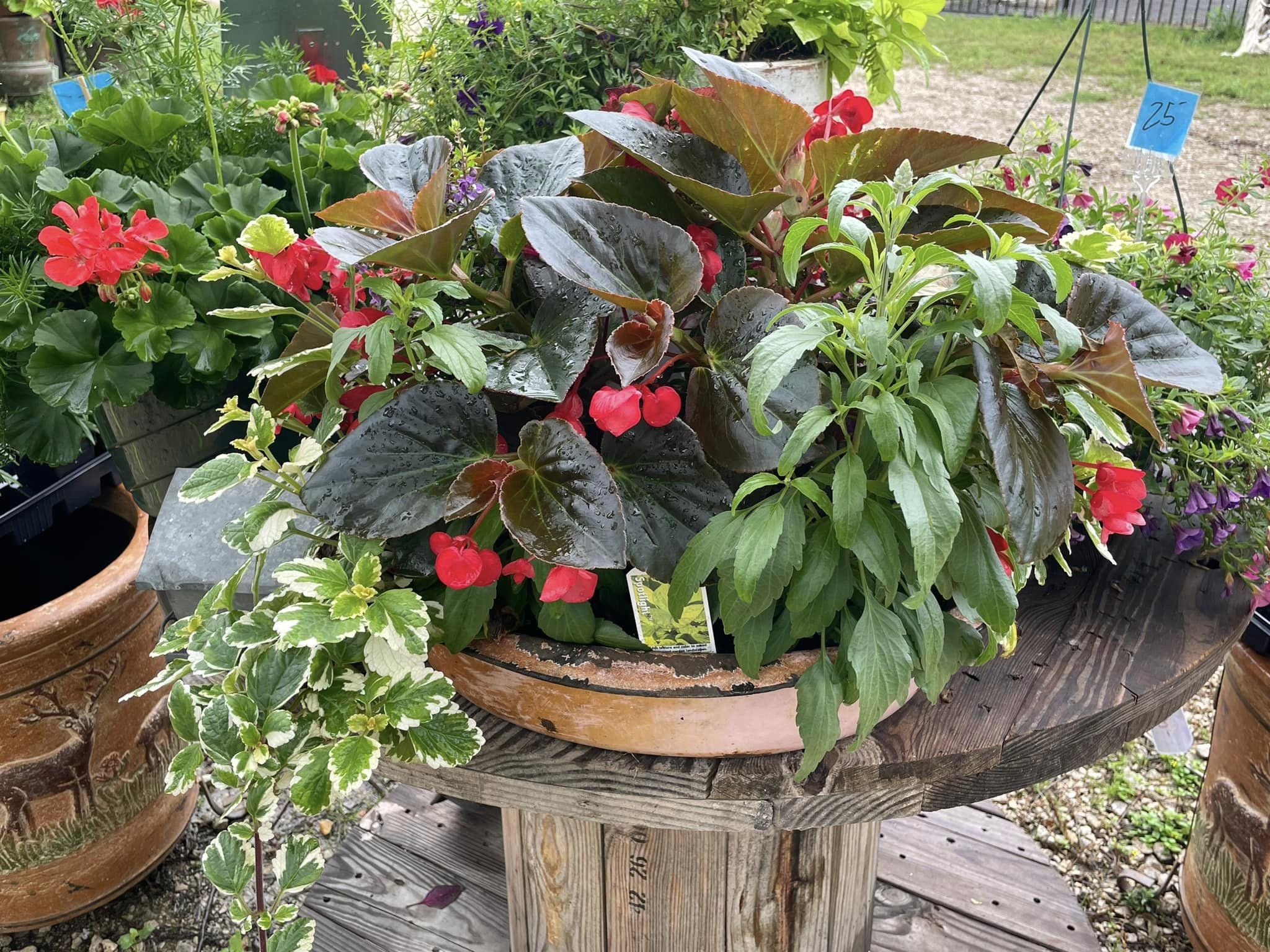 The Bloomin' Cottage: Summer Hangout in Seguin | Seguin Business